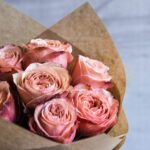 Home | Secret Garden