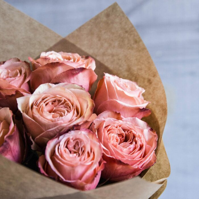 Home | Secret Garden